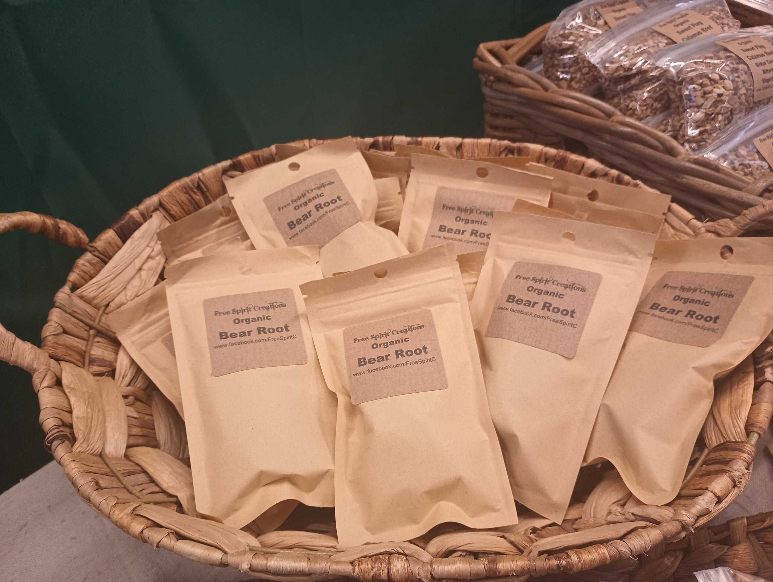 Bear Root (Osha Root, Snake Root) | Free Spirit Creations